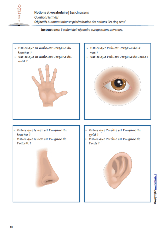 LES CINQ SENS | Notions et vocabulaire — Upbility.fr