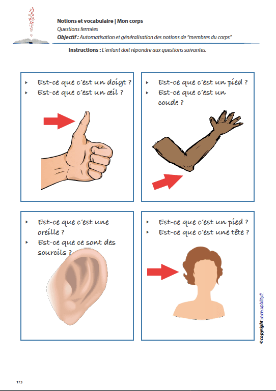 MON CORPS | Notions et vocabulaire – Éditions Upbility
