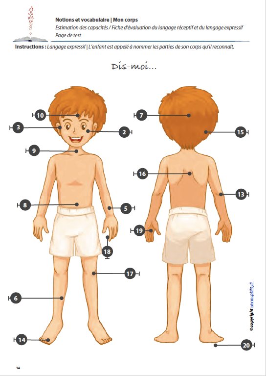 MON CORPS | Notions et vocabulaire – Éditions Upbility